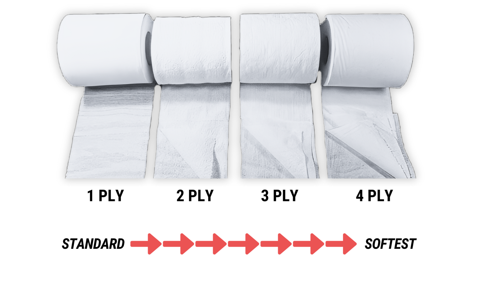 How to choose toilet tissue - T. Frank McCall's