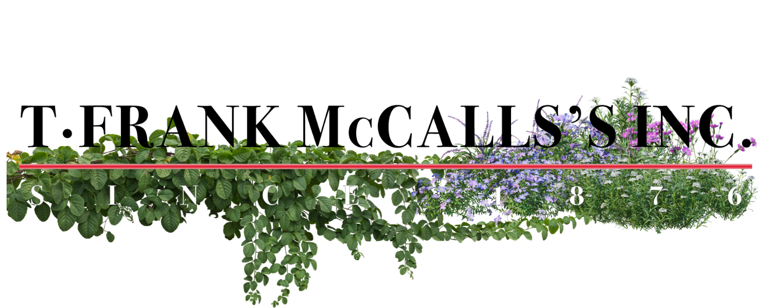 McCall’s Spring Plants 2024 - T. Frank McCall's
